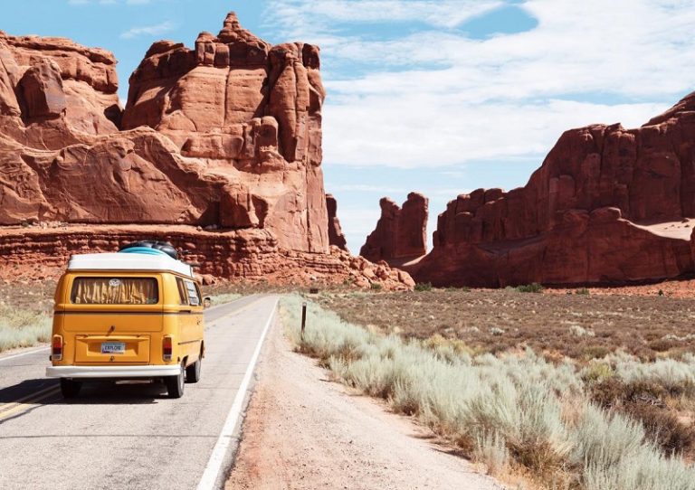 International Travel Medication Declaration Rules - Looney Nature