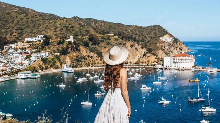 Things to Do in Catalina Island - Looney Nature