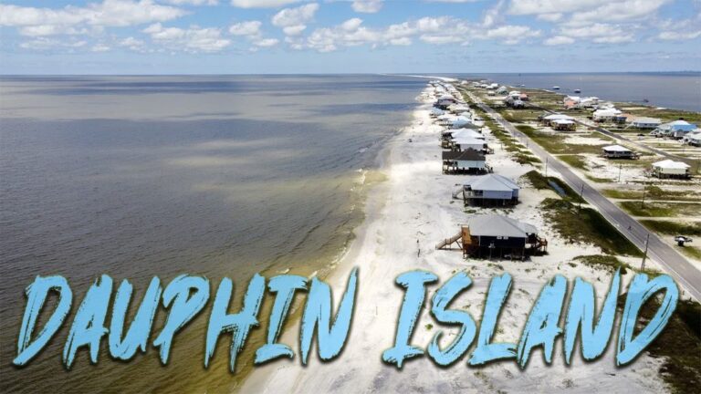 Things to Do in Dauphin Island - Looney Nature
